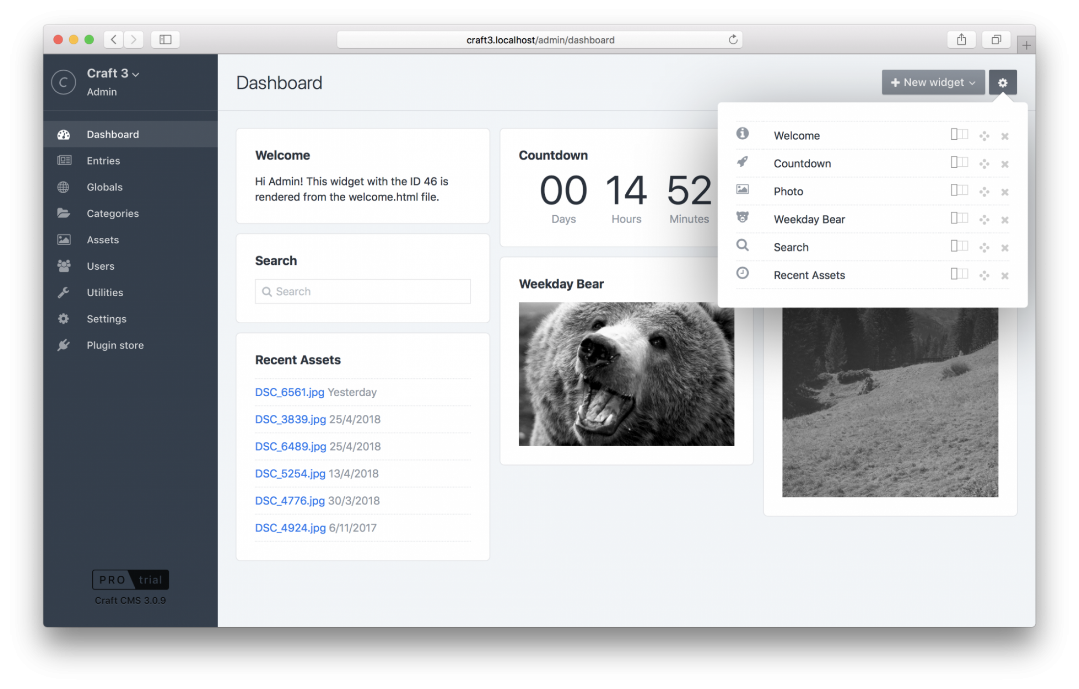 Do It Yourself widget